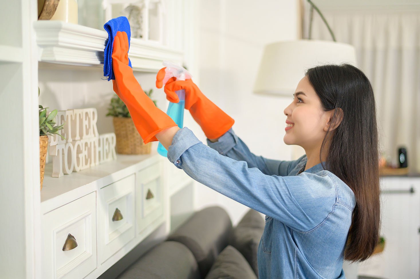Dynamic Integrity Cleaning Professionals